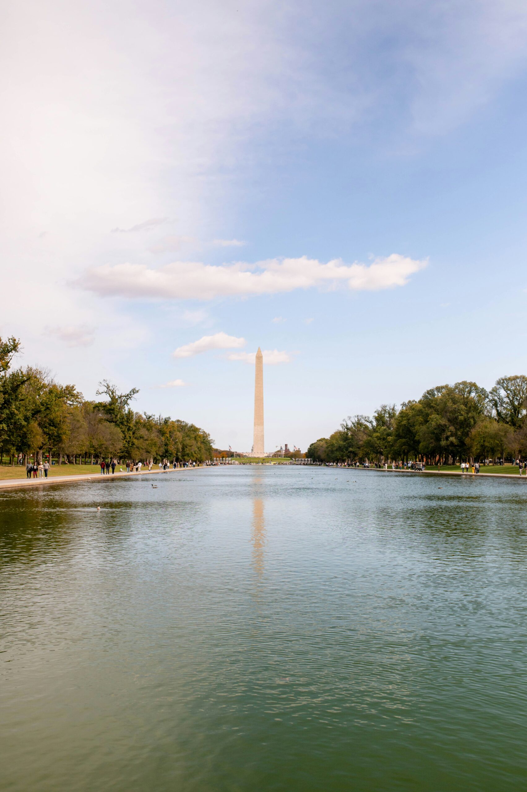 Lincoln Memorial Reflecting Pool Turns Green from Algae - Our National ...